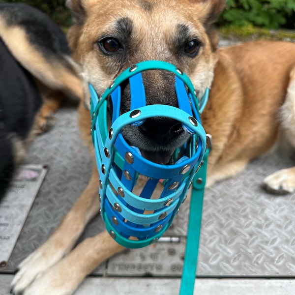 Custom Dog Muzzle – Soft Handmade Waterproof Biothane Muzzle ...