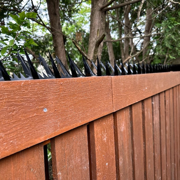 Stainless Steel Anti-climb Fence Spikes | Security Fence Topper, 50 ...