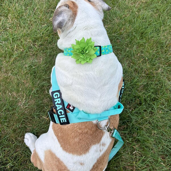 Reindeer Dog Collar Embellishment, Christmas Dog Collar Accessory ...