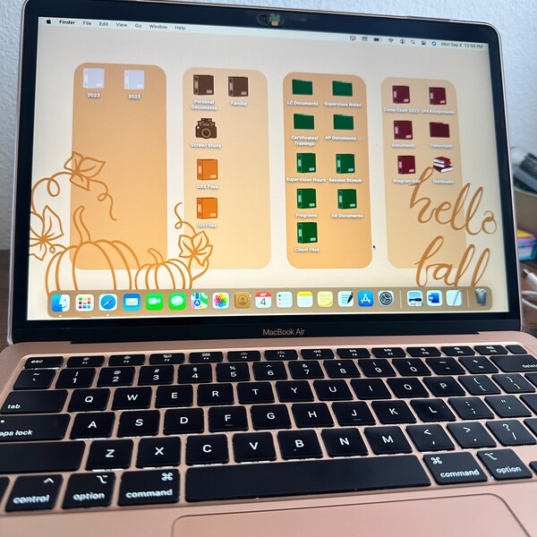 Pink Themed Variety Desktop Folder Icons - Etsy