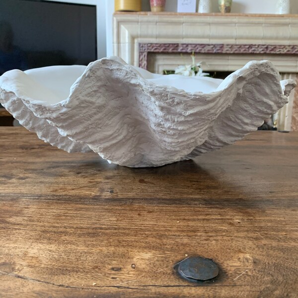 Medium Real Sand Giant Clam Shell Sculptured Art Contemporary ...