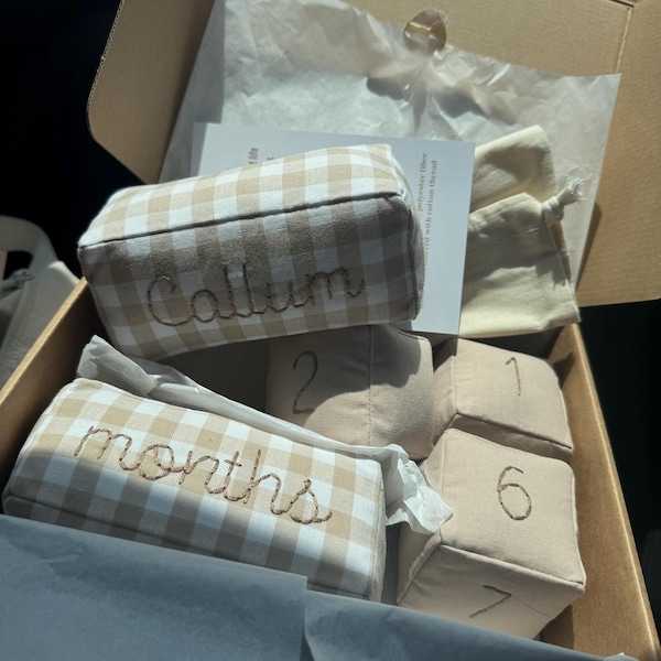 Month Markers Blocks With Light Blue Checkered Print - Age Milestone ...