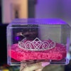 8x6x5" Round Crown Tiara Display Case With Velvet Cushion for Pageant ...