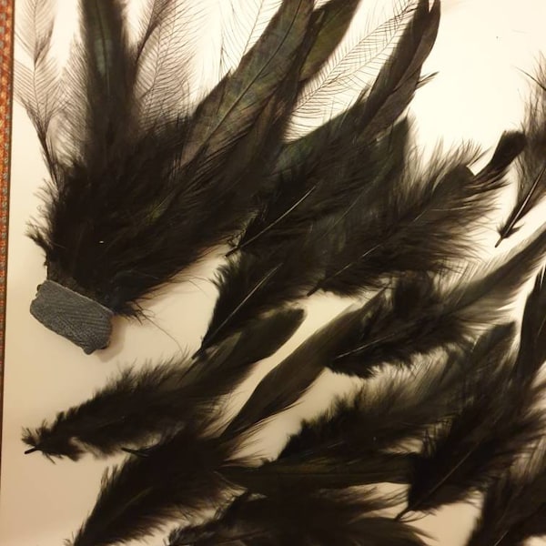 Black & Gold Goose Real Feathers Patterns Arts Craft Hats Costume Dream ...