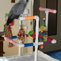 PVC Large Parrot Play Stand w Swing and PAN, Wrapped, 15 - Etsy Canada