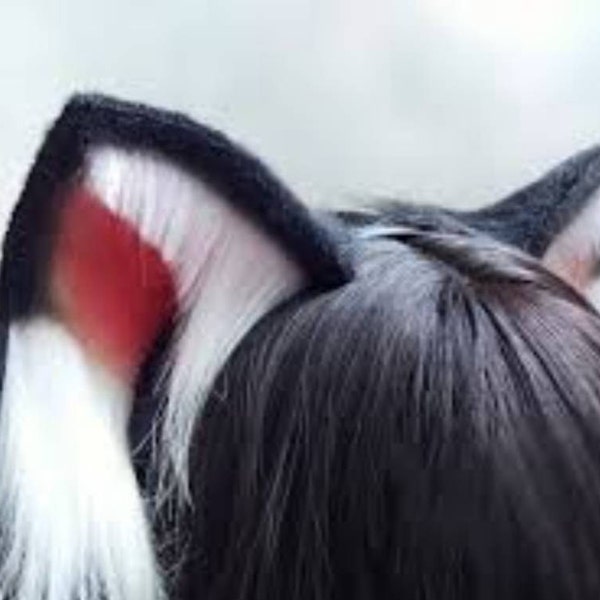 Fursuit Paw Template, 4 Toes, Downloadable Pattern - PDF DOWNLOAD, No ...