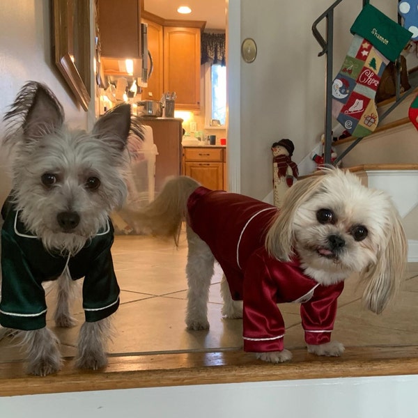 Gift for Dog Moms Matching Pet and Owner Pajamas Set in Ruby Red Satin ...