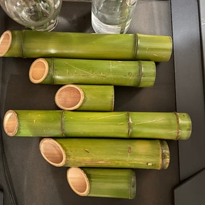 2 Fresh Cut Bamboo Choose From 1 to 8 Feet Long - Etsy
