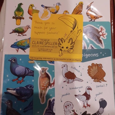 Pigeons of the World Print / Bird Wall Art / Educational Animal Poster ...