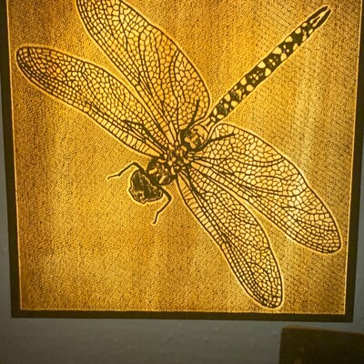 Dragonfly Night-light, Wall Art, Bug, Insect Lamp - Etsy