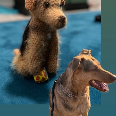 Custom Stuffed Dog, Custom Dog Plush, Custom Crochet Dog, Custom Pet ...