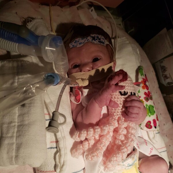 Crochet Octopus | NICU Octopus, Stuffed Octopus, Preemie Octopus ...
