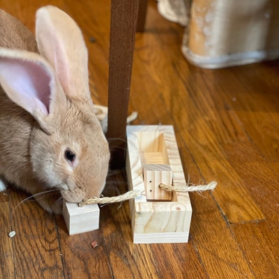 Rabbit Puzzle Treat Toy - Etsy