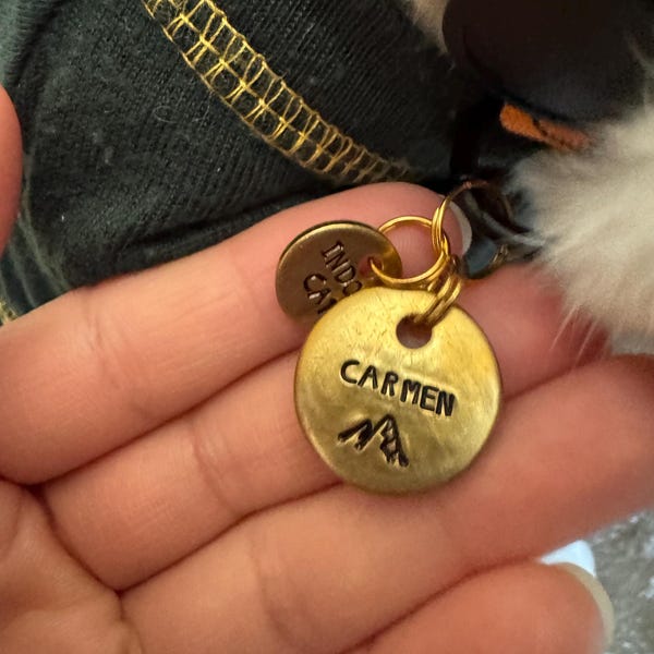 Microchipped Tag, Indoor Cat Tag, Small Pet Tag, Micro Chipped, Cat ...