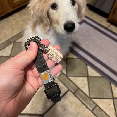 Mini Dog Tag for Dogs, the Bean, Dog Tag, Kidney Bean, Personalized ...