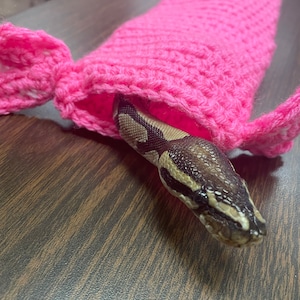 Custom Tortoise Diaper | Etsy