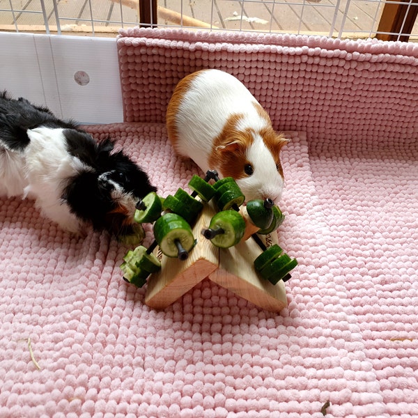 Pyramid Wheel Feeder Toy, Guinea Pig Toy, Rabbit Toy, Hamster Toy ...