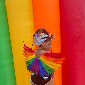 Rainbow PRIDE Feather Wings Carnival Costume Festival Wings, LGBTQ ...