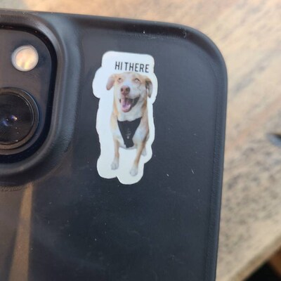 Custom Pet Sticker, Animal Sticker, Personal Sticker, Photo Pet Sticker ...