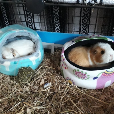 Guinea Pig Piggie Pod Bed CUSTOM ORDER Medium Size - Etsy