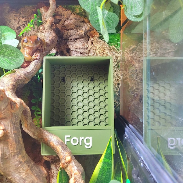 Personalised Reptile Insect Feeder, Chameleon Feeding Box, Gift for ...