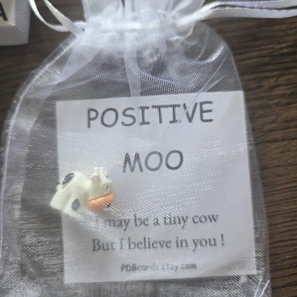 Good Luck Duck Good Luck Gift Cute Duck Gift Desk Buddy Cute Little ...