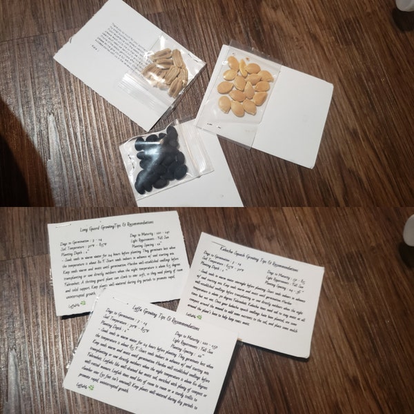 35+ Organic Loofah Seeds | Luffa | Edible Squash | Sponge Harvest | Non ...