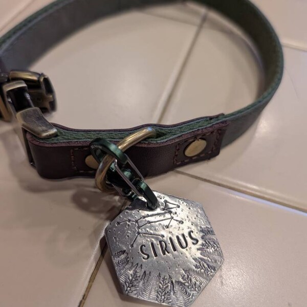 Mini Dog Tag for Dogs, the Bean, Dog Tag, Kidney Bean, Personalized ...