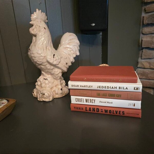 Pastel Pink Decorative Book Bundle - Light Pink Decor Books for Shelf ...