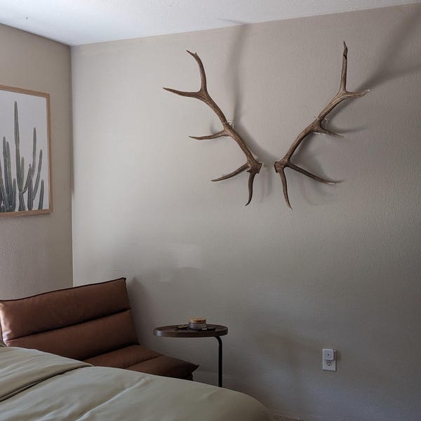 Metal Elk Shed Antler Wall Mount Display. Antler Not Included - Etsy