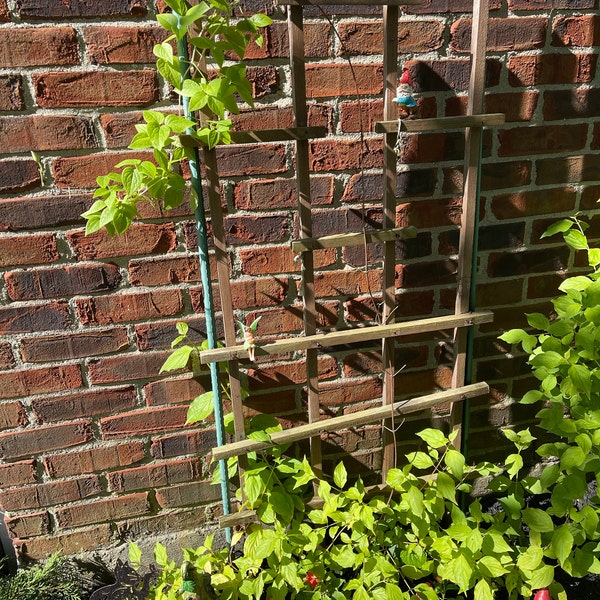 Curved Pathway, Miniature Path, Mini Pathway, Fairy Garden Path ...