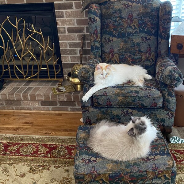 Vintage Book “high Courage” by C.W. Anderson Frist Edition– 1941 - Etsy