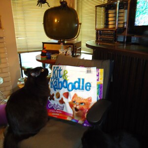 Prison Release Card, Funny Prison Card, Prison Greeting Card, Jail Card ...