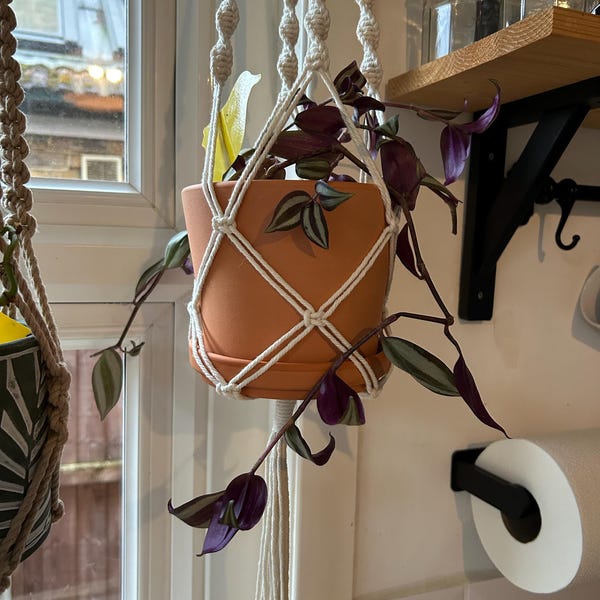 Macrame Ceiling Plant Hanger Indoor, Hanging Wall Planter, Macrame Wall ...