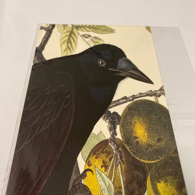 Raven Art Print Audubon Crow 2a Beautiful Antique Vintage Illustration ...