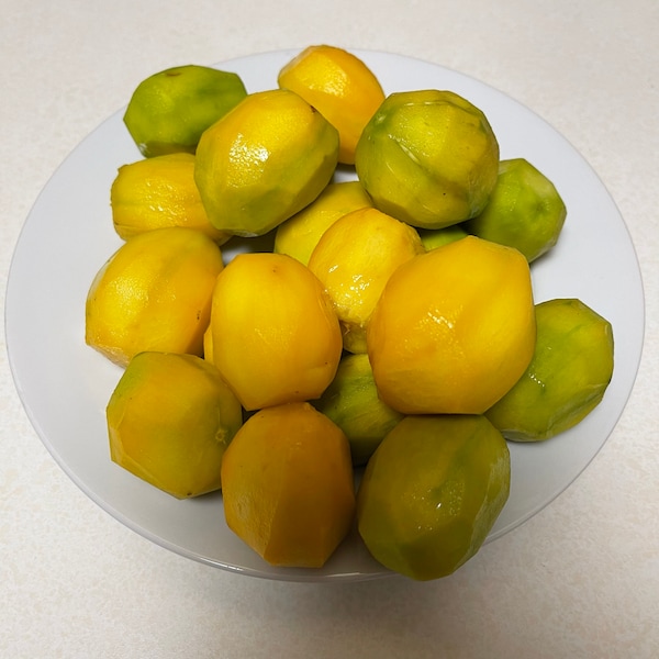 Fresh Dwarf June Plums 5 Lbs- Always Freshly Picked - ** Pre Orders ...