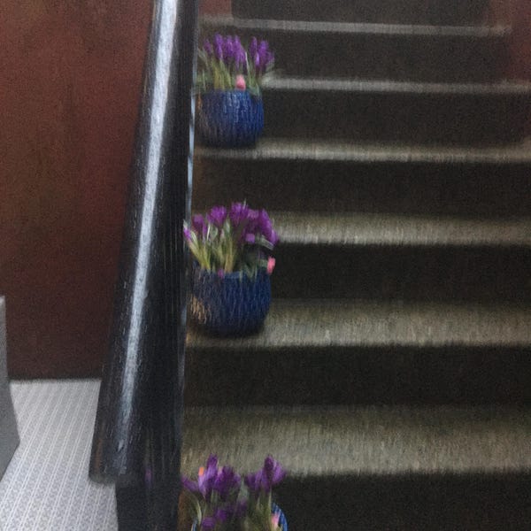 Amelia Ceramic Indoor Planter, Glossy White Color Indoor Planter Pot ...