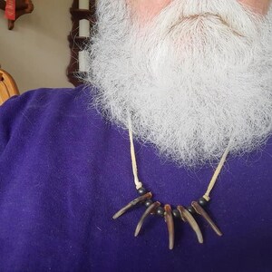 Raw Camouflage Turbo Sarmaticus Shell Large Size 672-R-L L31 | Etsy