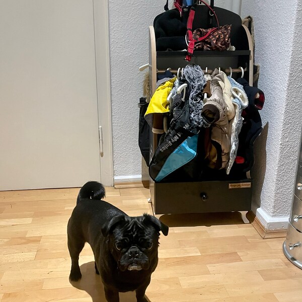 Wardrobe, Dog Wardrobe, Dog Clothing Rack, Pet Wardrobe, Personalized ...