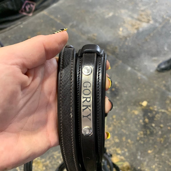 Custom Engraved SILVER Tack, Bridle, Martingale Plate, Horse Tack Plate ...