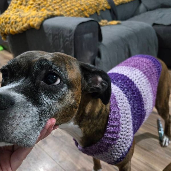 Ledger Sweater CROCHET Pattern - Beginner Friendly Sweater for Dogs in ...