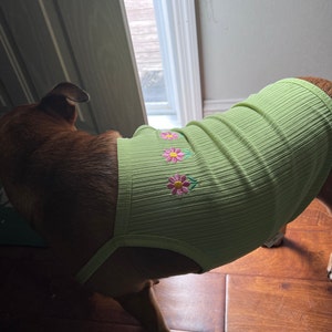 Daisy Chiffon Crop Top XS-2XL Dog-shirts Dog Top Dog - Etsy