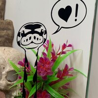 Peeking Ball Python Decal Periscoping Snake Serpent Boa - Etsy