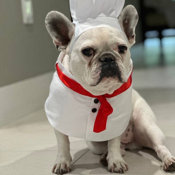 Halloween Chef Dog Cat Pet Costume, Kitchen Helper Assistant Costume ...