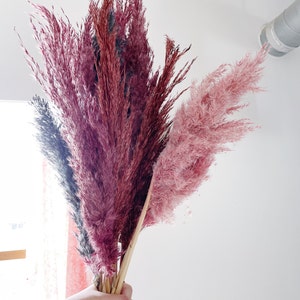 Pampas Grass/ivory-flax Color/one 1stem Price/dried | Etsy