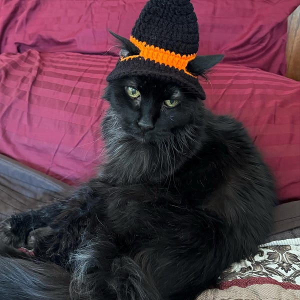 Red Apple Cat Hat Crochet Cat Hat Cat Accessories Cat Costumes Cat ...