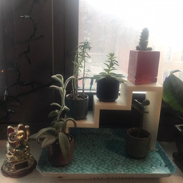 Plant Display + 3 Pots / 3D Print / Plant Holder / Plant Hanger ...