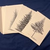 Pine Tree Note Card Set of 10 in White or Light Ivory With Matching ...
