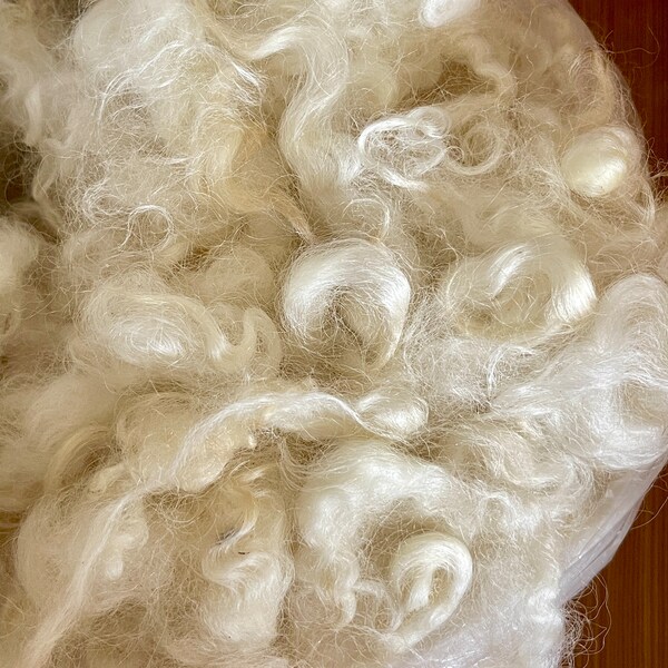 Raw Wool Lincoln Longwools Natural Colored - Etsy UK