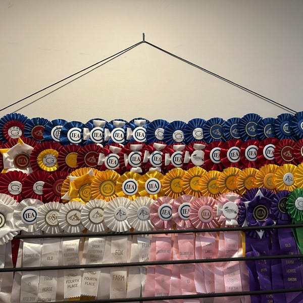 Dog Show Ribbon Holder Dog Show Award Rack Dog Show Ribbon Holder Dog ...